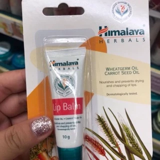 lip blam ราคาพิเศษ | ซื้อออนไลน์ที่ Shopee ส่งฟรี*ทั่วไทย!