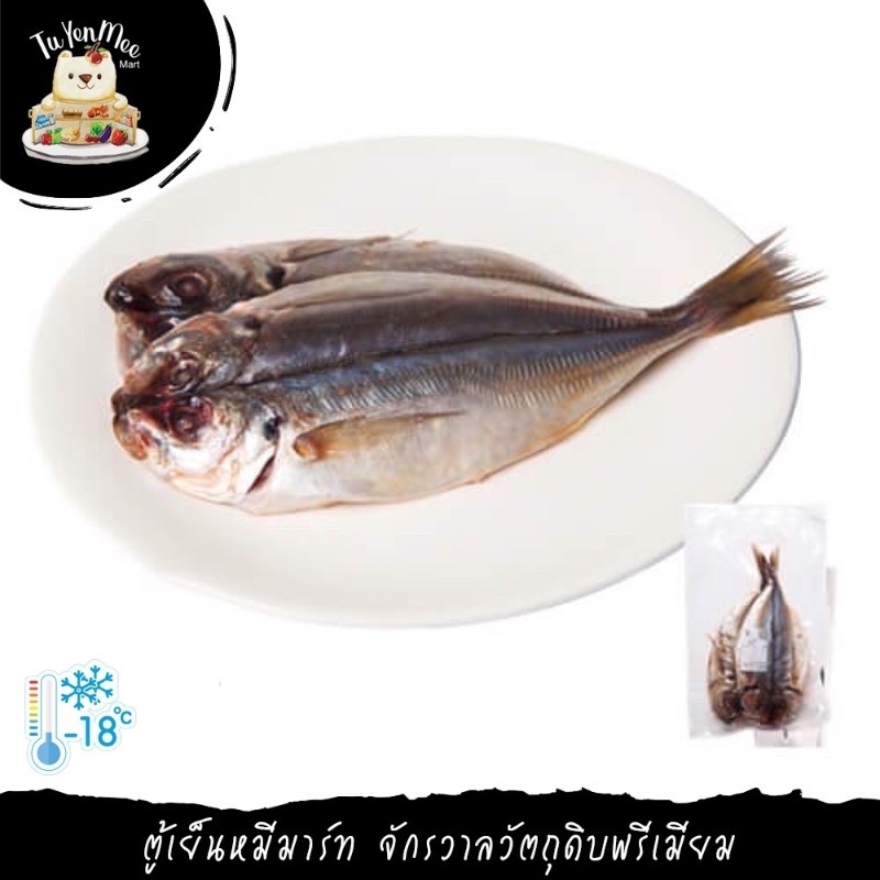 160-200G ปลาอาจิแดดเดียว(อาจิชิยาโบชิ) AJI ICHIYA BOSHI (DRIED HORSE ...