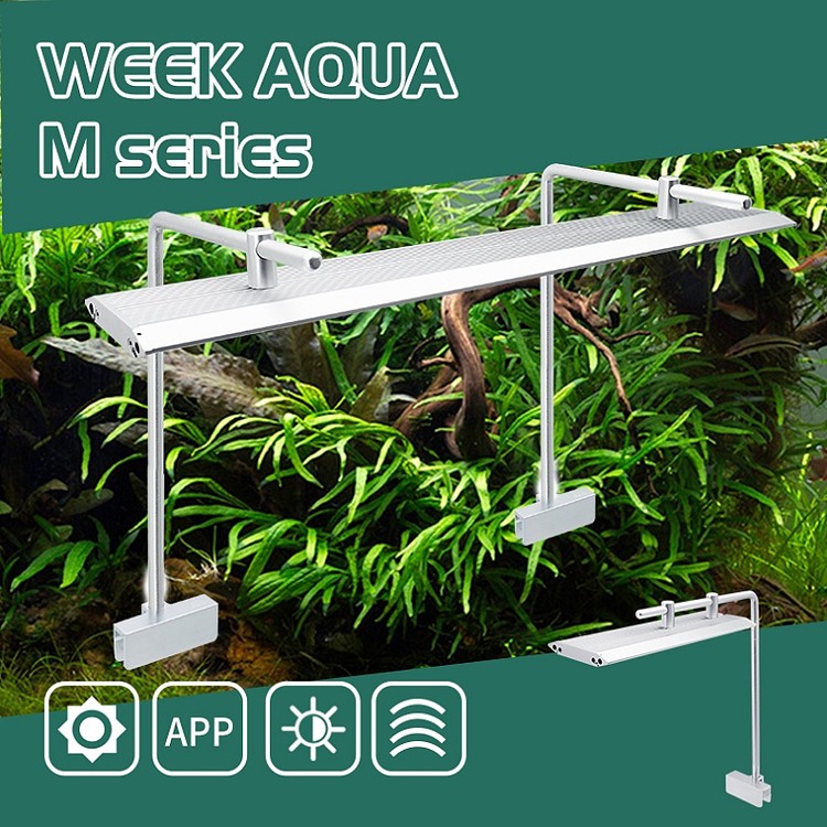 Week Aqua Model : M-Series D Version - Button Controller โคมไฟสำหรับตู้ ...