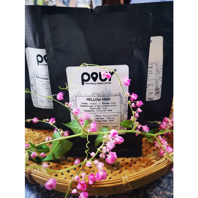 POUR Mellow High Specialty Coffee กาแฟ กัลยานิวัฒนา Peaberry Grade A ...