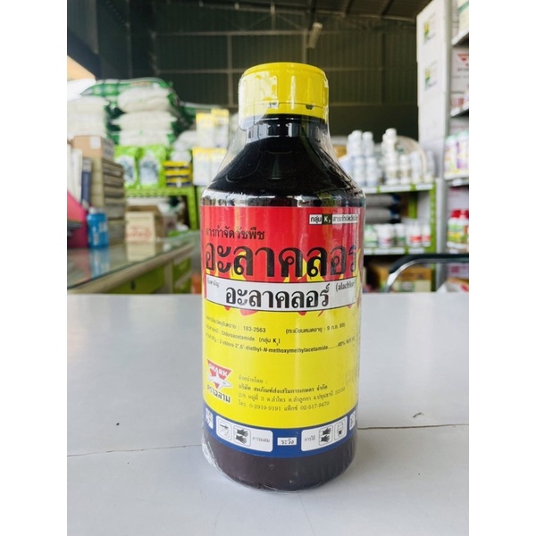 อะลาคลอร์-ซ๊าค : ชื่อสามัญอะลาคลอร์48%EC(ยาคุมวัชพืชในแปลงผักต่างๆ ...