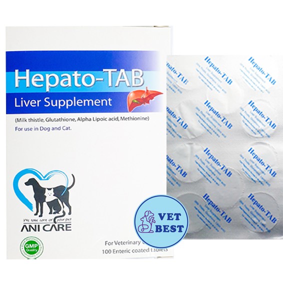 ล็อตใหม่ [กล่อง 100 เม็ด] Hepato Tab บำรุงตับสุนัข บำรุงตับแมว Exp.2026 ...