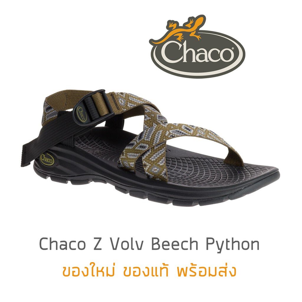 รองเท้า Chaco Z Volv - Beech Python ของใหม่ ของแท้ พร้อมกล่อง พร้อมส่ง | Shopee Thailand