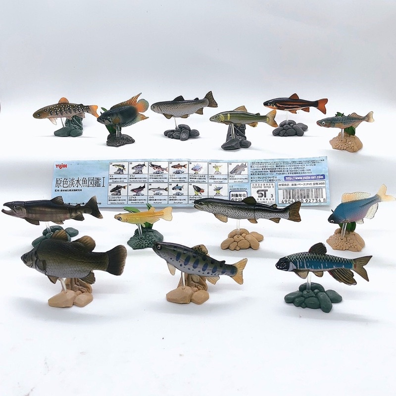 กาชาปอง โมเดลสัตว์ ปลาจิ๋ว ฟิกเกอร์ปลา Freshwater Fish Collection vol ... กาชาปอง โมเดลสัตว์ ปลาจิ๋ว ฟิกเกอร์ปลา Freshwater Fish Collection vol ...