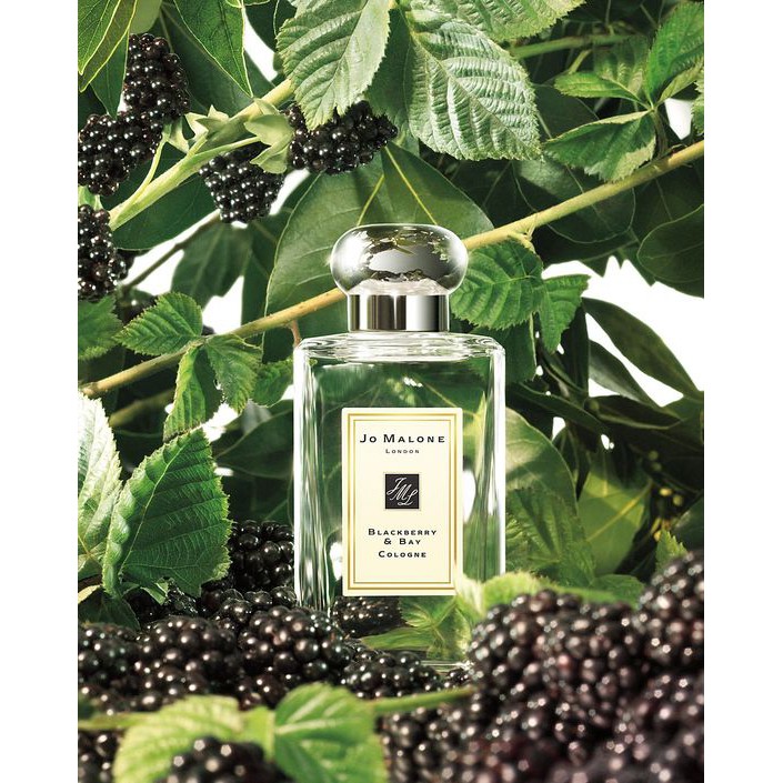 น้ำหอมแท้ Jo Malone Blackberry & Bay Cologne 100ml. No box | Shopee ...