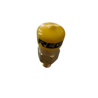 เซฟตี้รีลีฟวาวล์ Relief Valve ยี่ห้อ REGO | Shopee Thailand