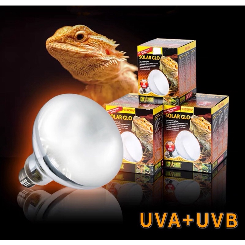 Exo terra Solar Glo 80W/ 125W หลอดไฟให้ความร้อนและให้ UVB สำหรับเต่าบก | Shopee Thailand