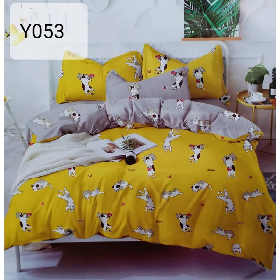 ชุดผ้านวม รหัส Y053 ชุดผ้าห่มนวมเกรดพรีเมี่ยมขนาด 6 ฟุต | Shopee Thailand