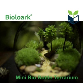 Bioloark Mini Bio Bottle Terrarium (Biolark) (มีสินค้าพร้อมส่ง ...