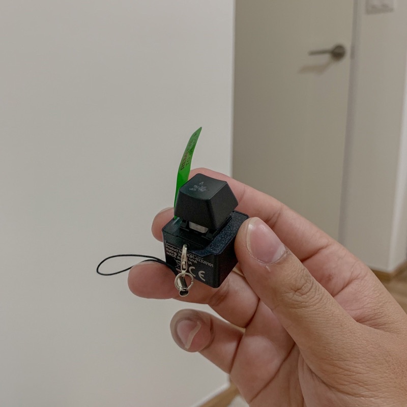 Razer chroma keychain (พวงกุญแจคีย์บอร์ด) | Shopee Thailand