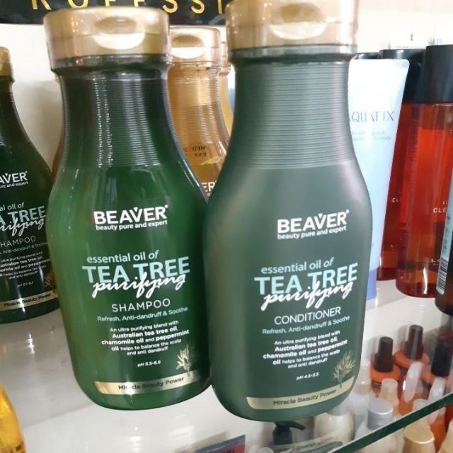 Beaver Tea tree purifying shampoo +conditioner 350ml แชมพูขจัดกลิ่นอับ รังแค และความมันของเส้นผม ...