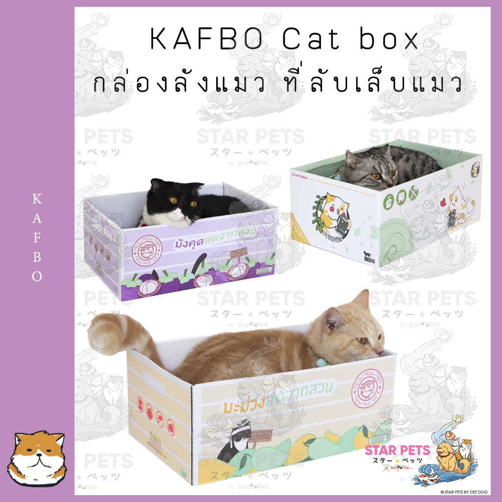 KAFBO Cat box - กล่องลังแมว ที่ลับเล็บแมว ที่ฝนเล็บแมว | Shopee Thailand