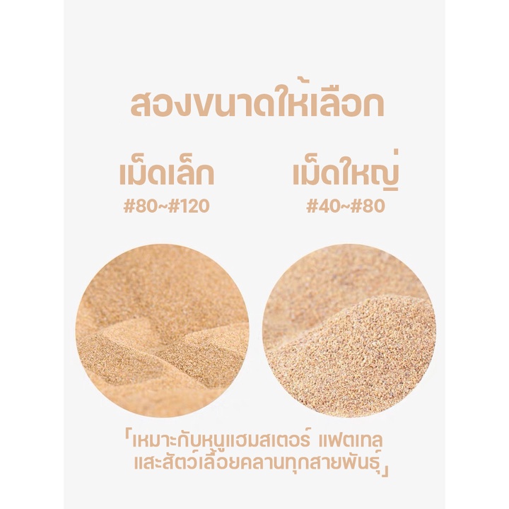 [Bucatstate] ทรายทะเลทราย ทรายสัตว์เลี้ยง หนูแฮมสเตอร์ แฟตเทล ทรายสัตว์ ...