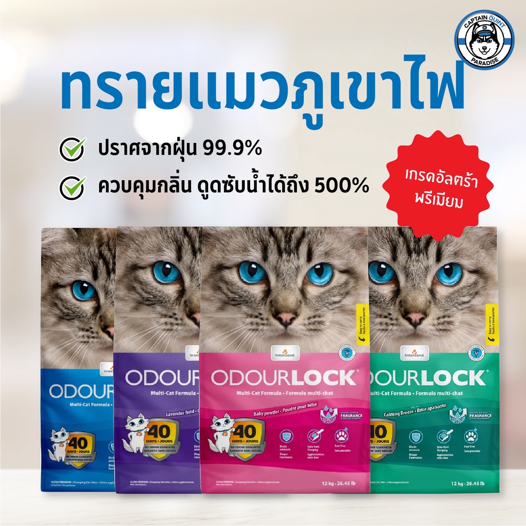 Odour Lock Ultra Premium Cat Litter โอเดอร์ล็อค ทรายแมว เกรดพรีเมี่ยม ...