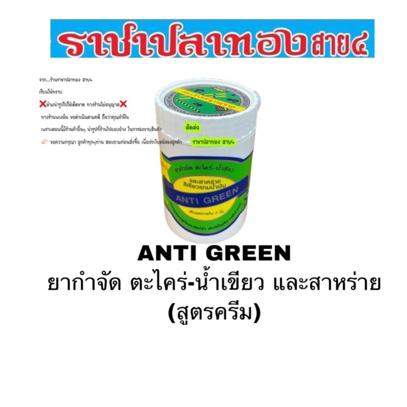 ANTI GREEN กำจัดตะไคร่-น้ำเขียว และสาหร่าย | Shopee Thailand