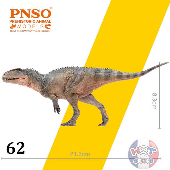 ของแท้ 1/35 scale Sinraptor Xinchuan PNSO 62 โมเดลไดโนเสาร์ | Shopee Thailand