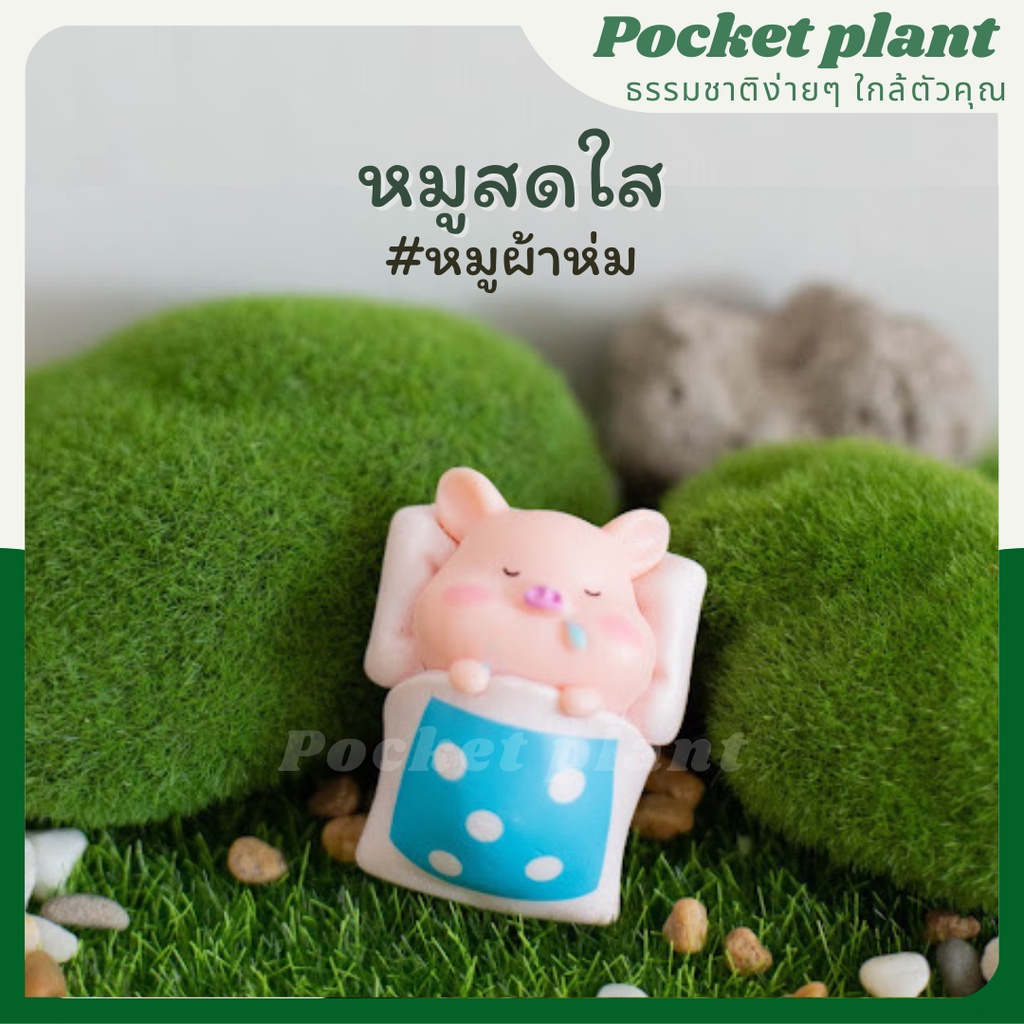 หมูสดใส ตุ๊กตาแต่งสวนจิ๋ว จัดสวนถาด โมเดลบ้านจิ๋ว [DolA-M-007] | Shopee ...