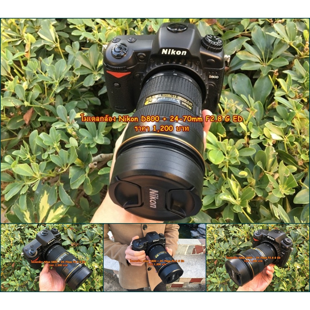 Nikon D800 + 24-70mm F2.8 G ED (ขนาดเท่าของจริง) โมเดลกล้อง Model พร็อบถ่ายสินค้า ของขวัญ ...
