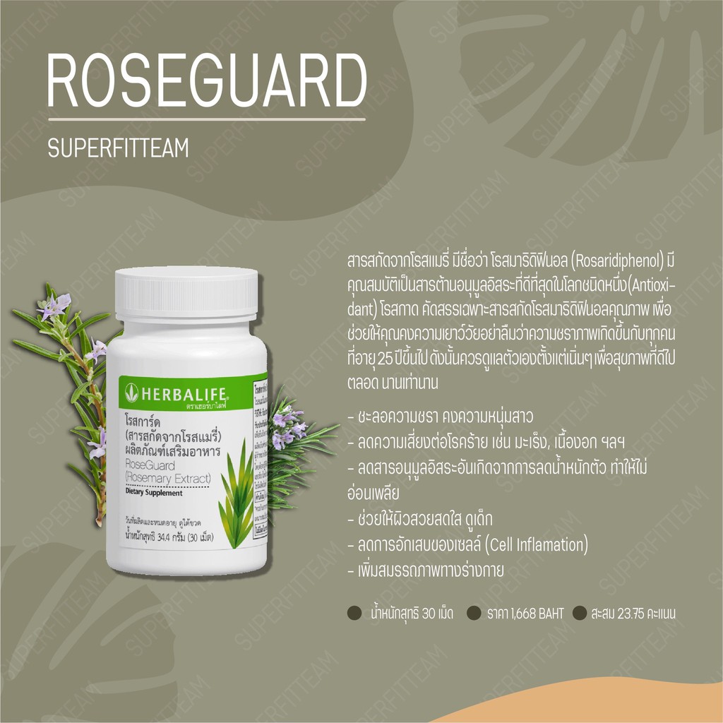 Herbalife Rose Guard โรสการ์ด เฮอร์บาไลฟ์(สารสกัดจากโรสแมรี่ ผลิตภัณฑ์ ...