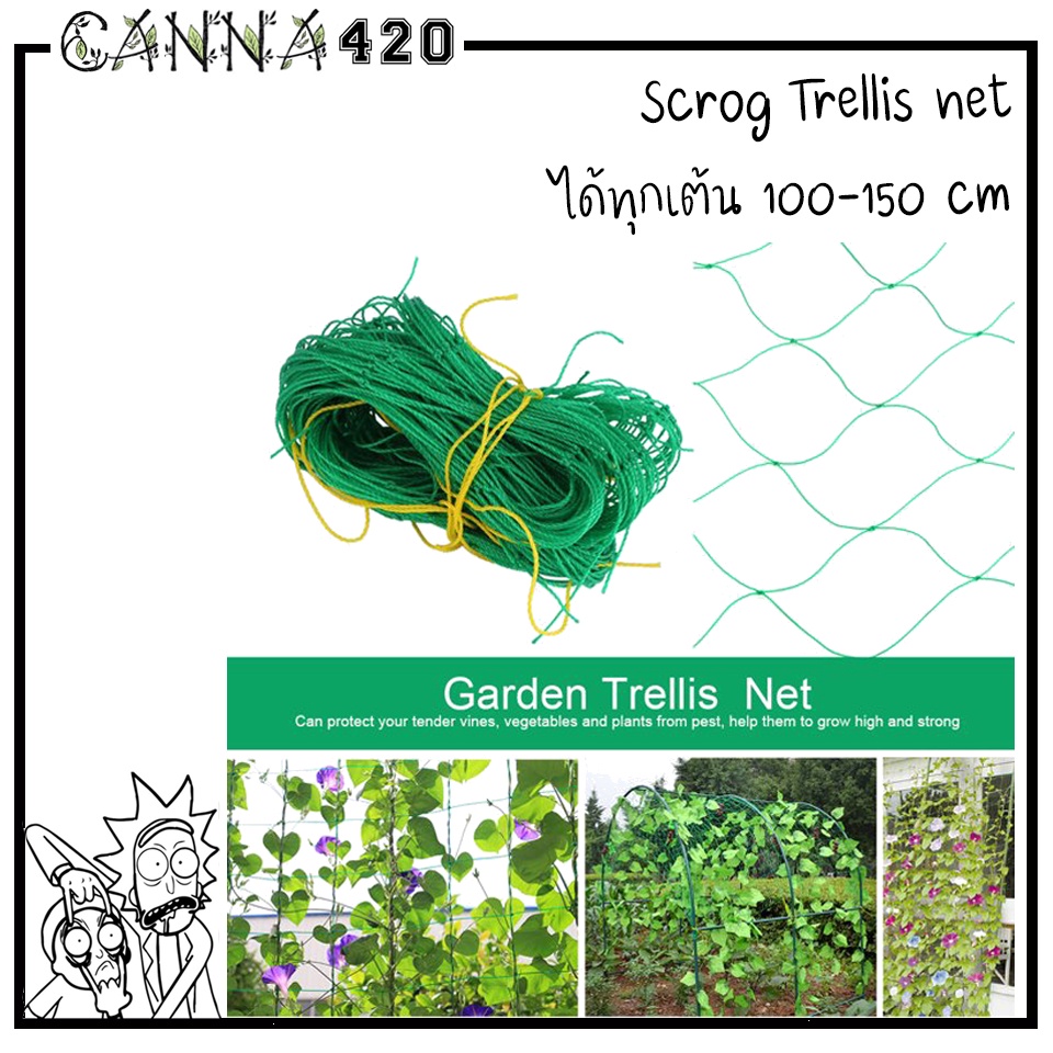 scrog net ตาข่ายปลูกผัก ไม้เลื้อย ไนลอน ทำค้างผักเลื้อย Nylon LST ...