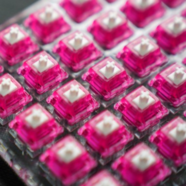 [Tactile] DRAGON FRUIT SWITCH x1 น้ำหนัก 63.5g สวิทช์สองจังหวะสีแดงขาว ...