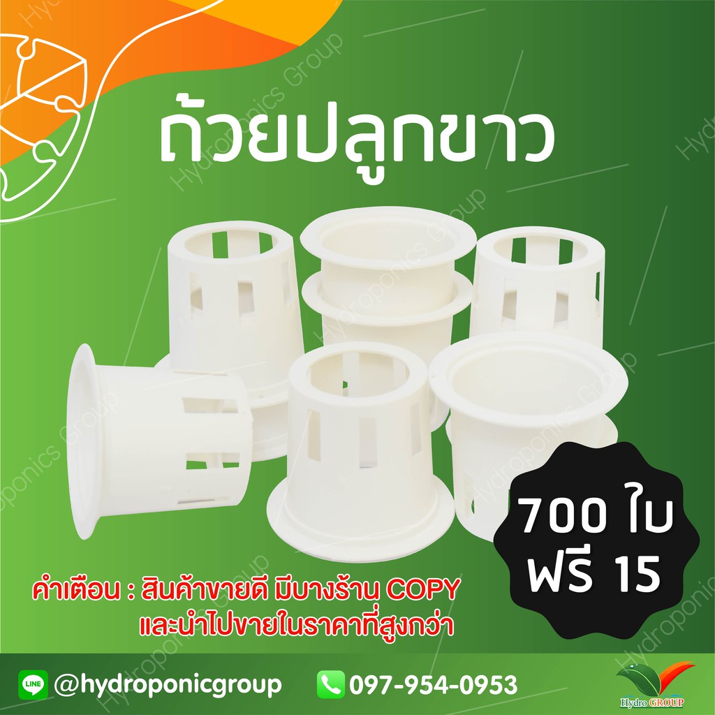 ถ้วยปลูกผักไฮโดรโปนิกส์สีขาว ถ้วยปลูกขาว 1 ชุด จำนวน 700 ใบ by ...