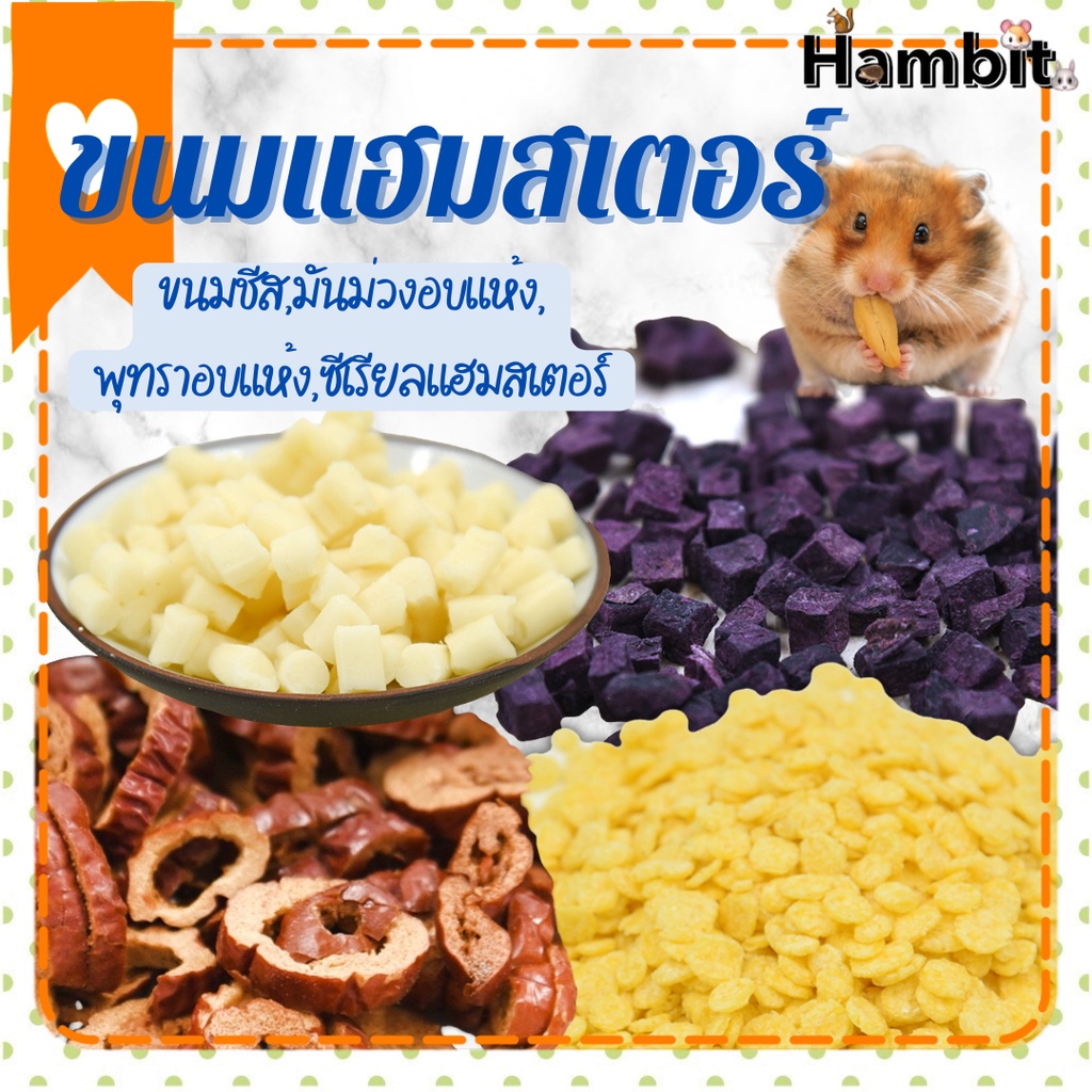 Hambit. ขนมหนูแฮมสเตอร์ มันม่วงแห้ง พุทราแห้ง ขนมชีสหนู ซีเรียลหนู ขนม ...