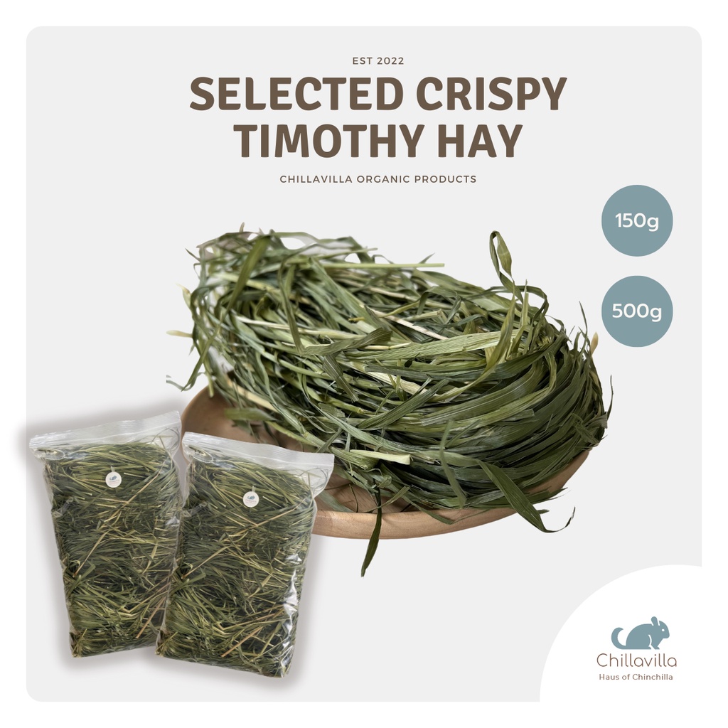 Chillavilla | หญ้าทิมโมธีก้านกรอบ อบลมร้อน / Selected Crispy Timothy Hay สำหรับกระต่าย ชินชิลล่า ...