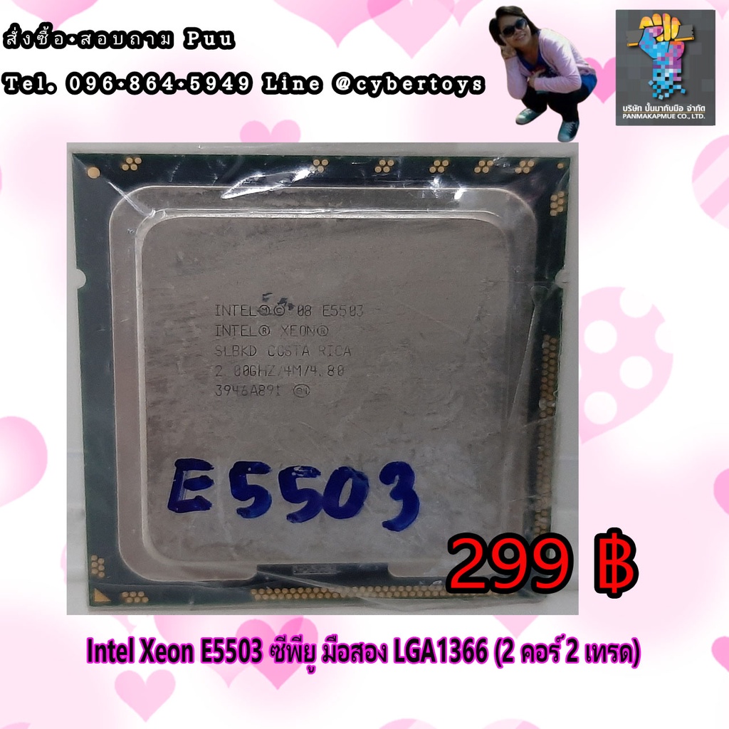 Intel Xeon E5503 ซีพียู มือสอง LGA1366 (2 คอร์ 2 เทรด) | Shopee Thailand