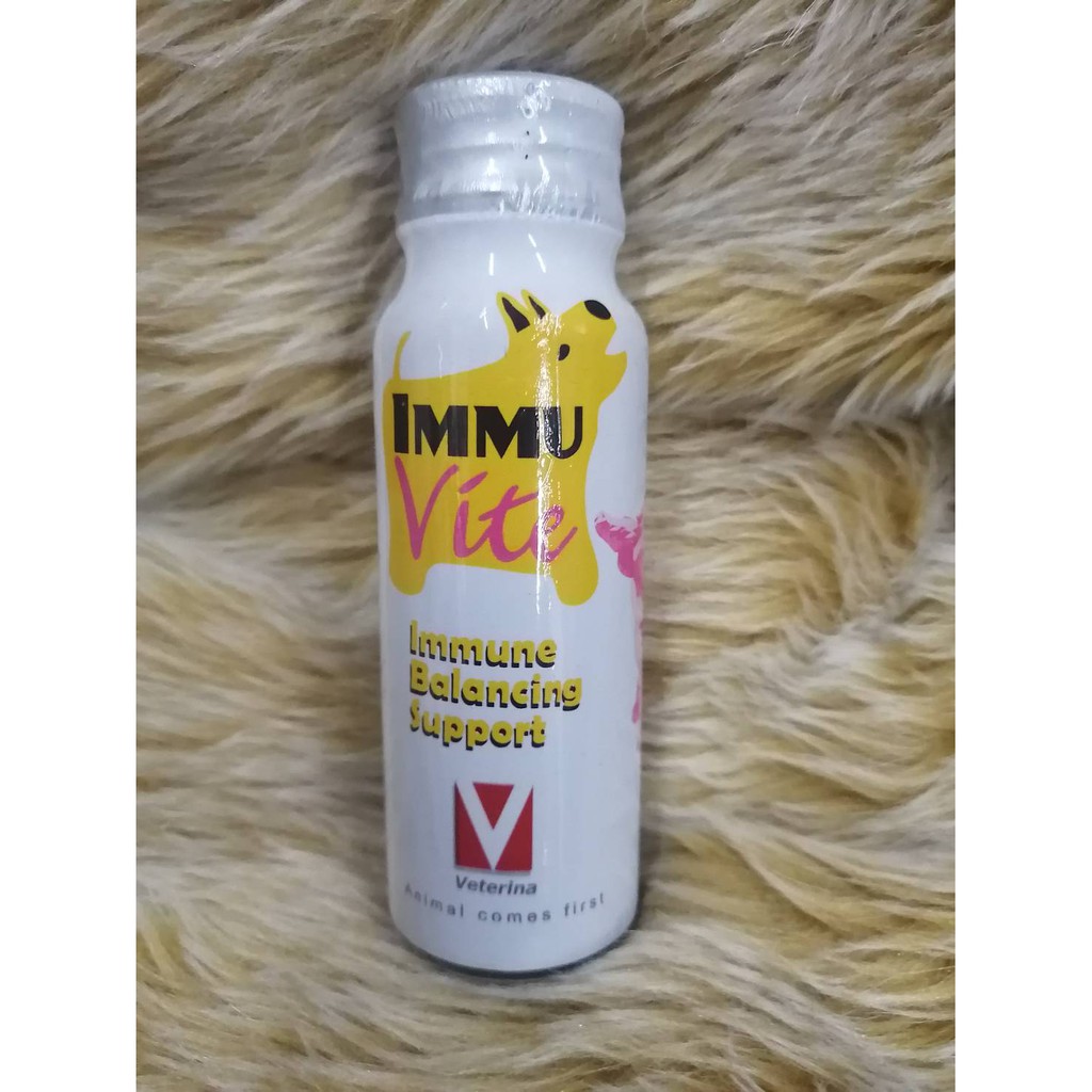 ImmuVite-อิมมูไวท์ วิตามินสุนัข วิตามินแมว วิตามินกระต่าย 50 มล. ...