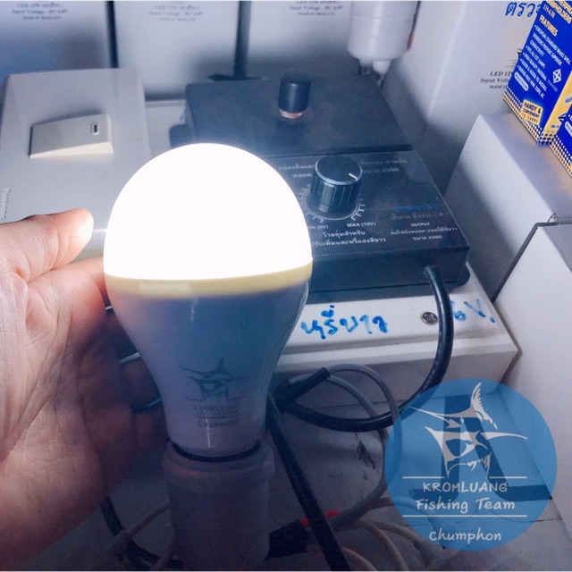 หลอดไฟตกหมึก สีขาวหรี่ได้ LEDกรมหลวงฟิชชิ่ง ไฟตกหมึก ใช้กับหม้อ ...