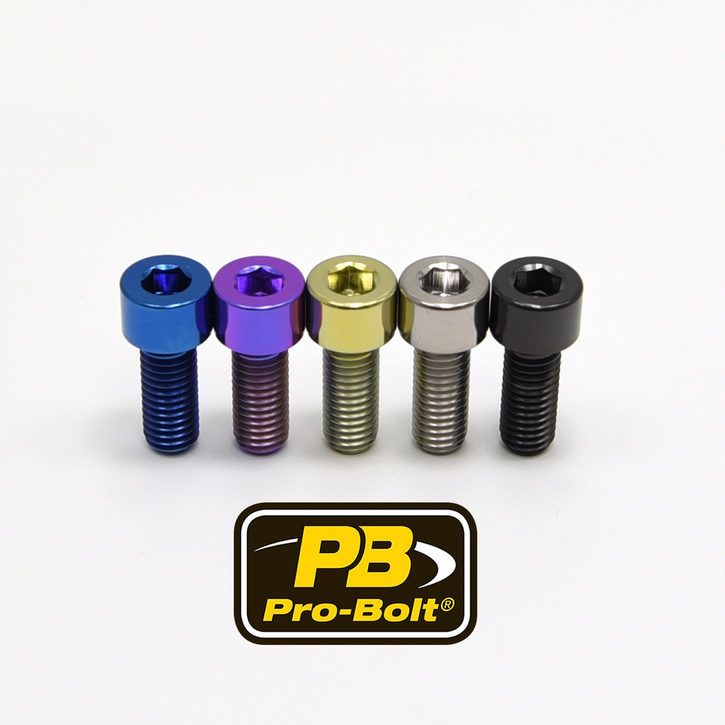 Pro-Bolt ไทเทเนี่ยม หัวจมแบบเต็ม M6x15,20,25,30,35,40,45,50mm | Shopee ...