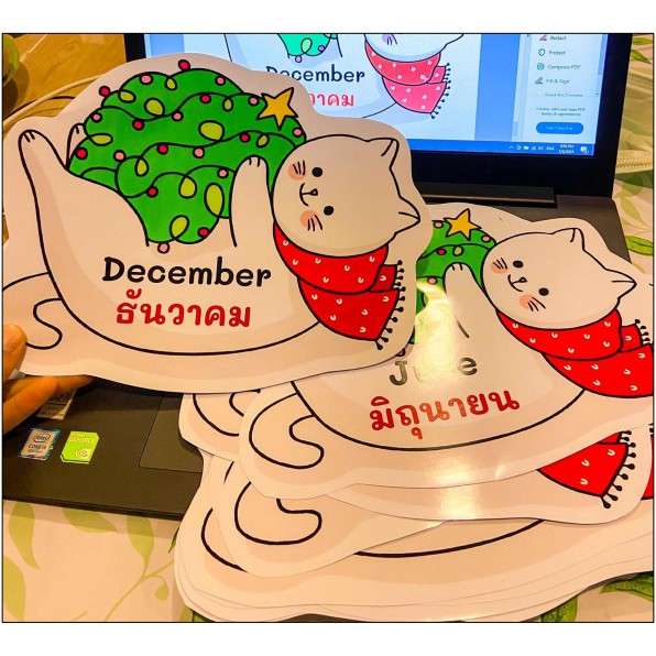 สื่อการสอนภาษาอังกฤษ Months of the year Flashcards (แมว) | Shopee Thailand