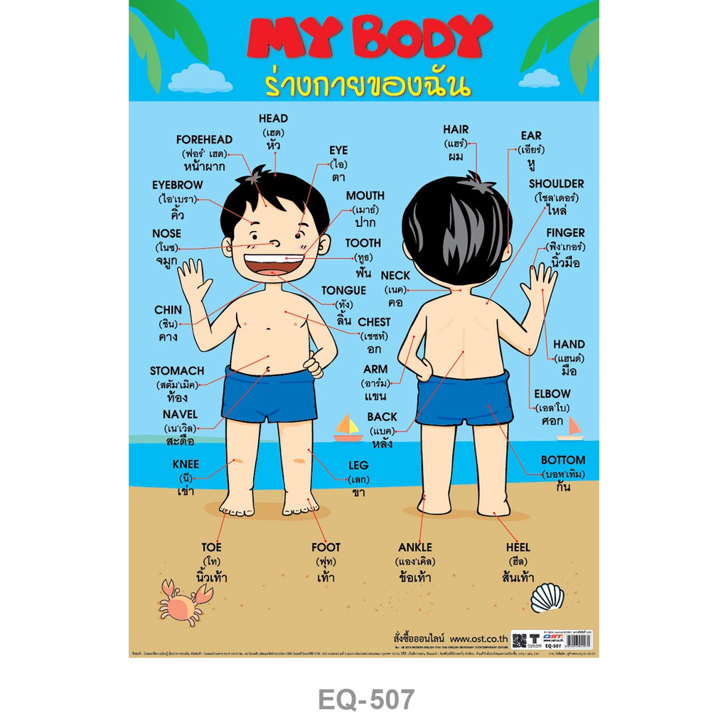 โปสเตอร์กระดาษ My Body #EQ-507 | Shopee Thailand
