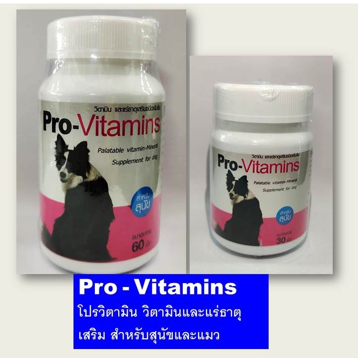 Pro-vitaminsโปรวิตามิน วิตามินและแร่ธาตุเสริม สำหรับสุนัขและแมว ...