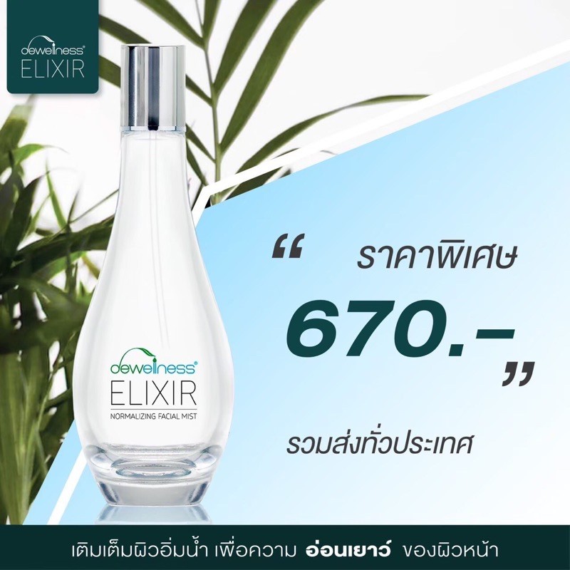 สเปรย์น้ำค้าง DEWellness Elixir normalizing facial mist | Shopee Thailand