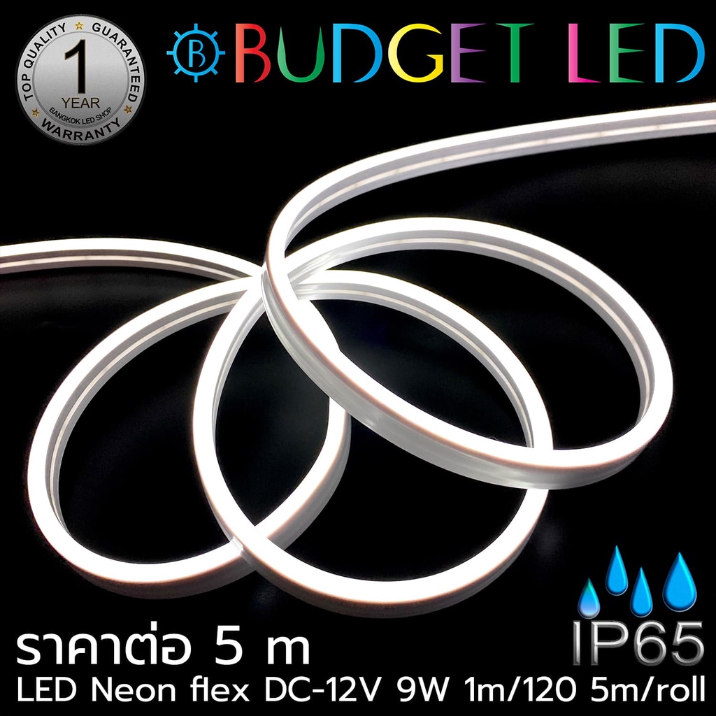 LED NEON FLEX 12V สีขาว 6x12 mm ยาว 5เมตร กันน้ำ IP65 แบบหุ้มซิลิโคน ...