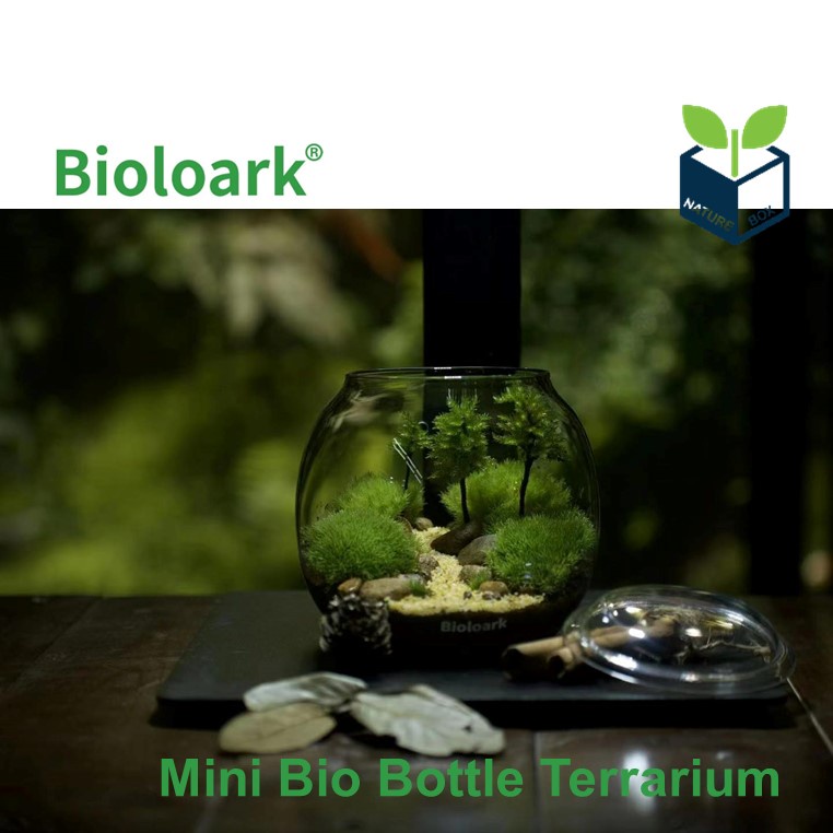 Bioloark Mini Bio Bottle Terrarium (Biolark) (มีสินค้าพร้อมส่ง ...