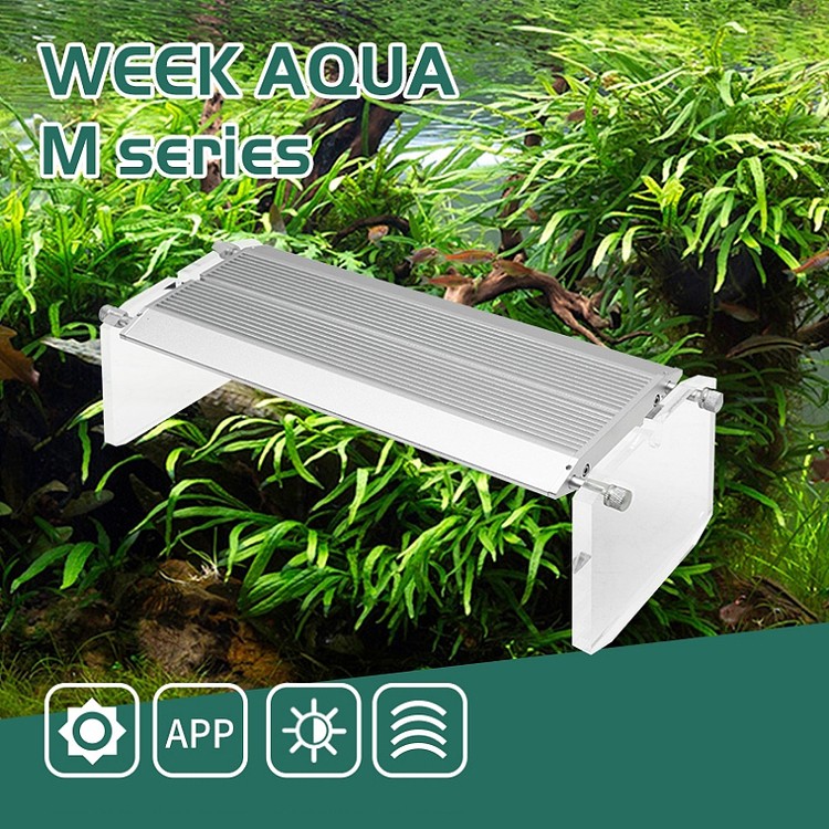 Week Aqua Model : M-Series K Version - Button Controller โคมไฟสำหรับตู้ ...