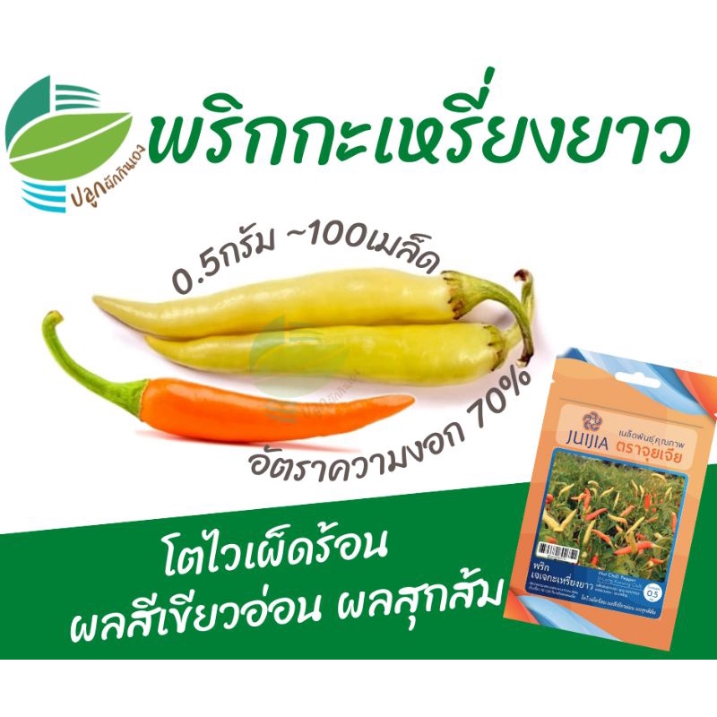 เมล็ดพันธุ์ พริกกะเหรี่ยงยาว (Chilli Pepper) | Shopee Thailand