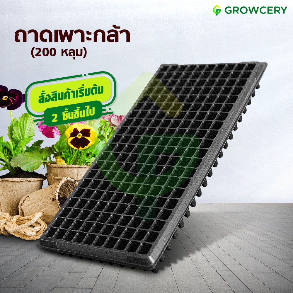 [G] ถาดเพาะกล้า ถาดหลุม ถาดเพาะ จำนวน 200 หลุม (หนา 1 มม.) **สั่งขั้นต่ำ 2 ชิ้น** โดย GROWCERY ...