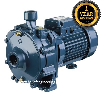 ปั๊มหอยโข่ง (EBARA) เอบาร่า รุ่น CDA-1.00M (1HP) ชนิดใบพัดคู่ แบบเกลียว | Shopee Thailand