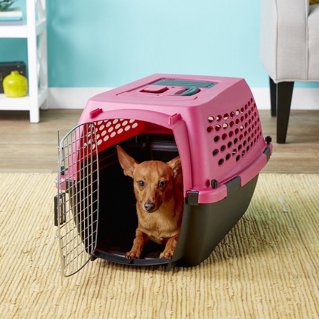 Petmate Aspen Pet Porter กรงเดินทางสุนัข Box พลาสติกขึ้นเครื่องบิน ตรง ...