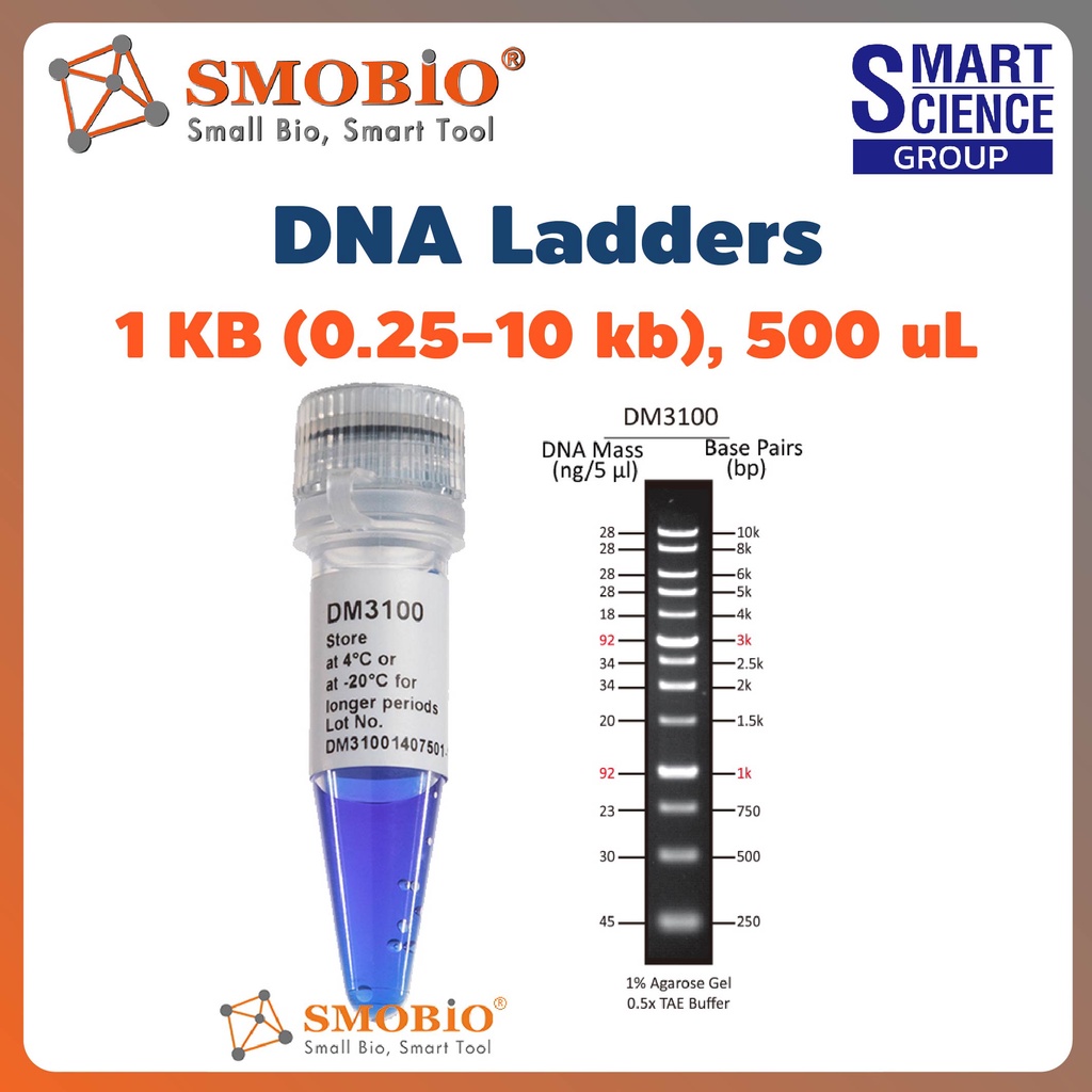 DM3100 ExcelBand DNA Ladder 1KB (0.25-10 kb) 500 uL DNA Marker PCR gel electrophoresis SMOBIO ...