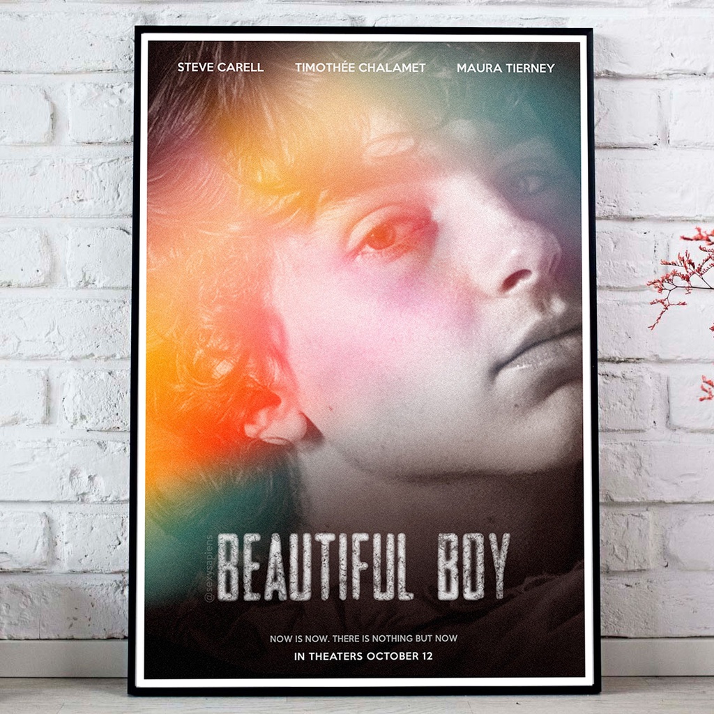 Beautiful Boy Poster (2018) แด่ลูกชายสุดที่รัก Timothee Chalamet, Steve ...