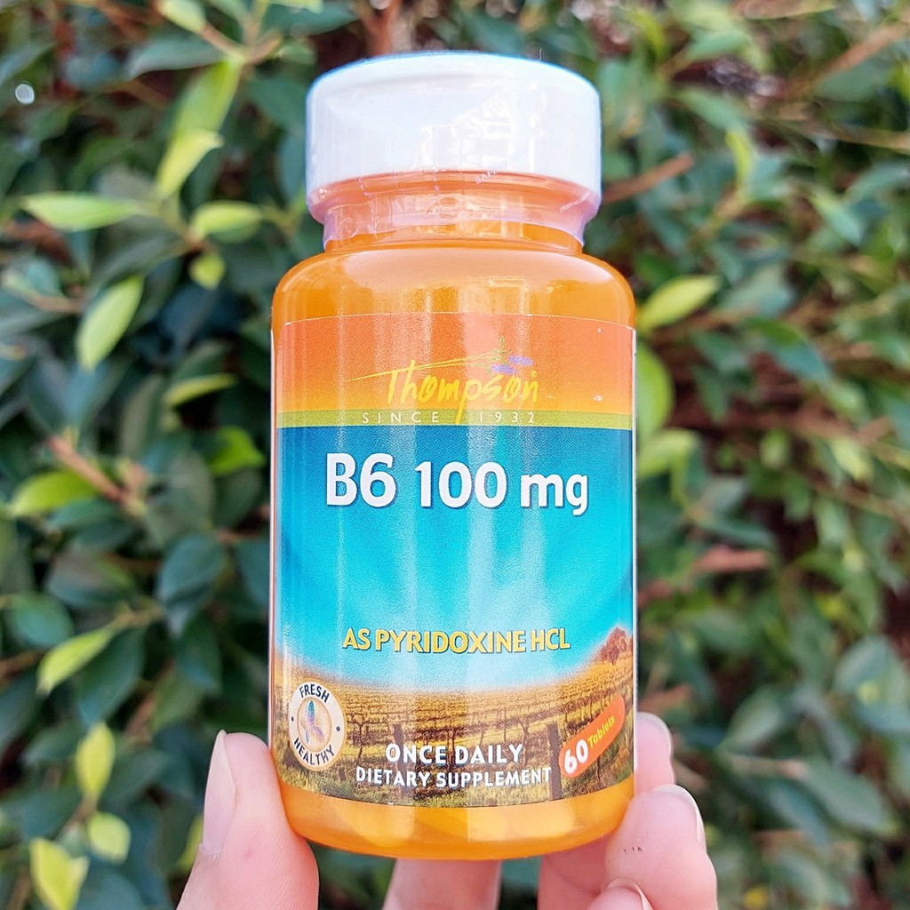 วิตามินบี 6 B6 100 mg 60 Tablets (Thompson®) | Shopee Thailand
