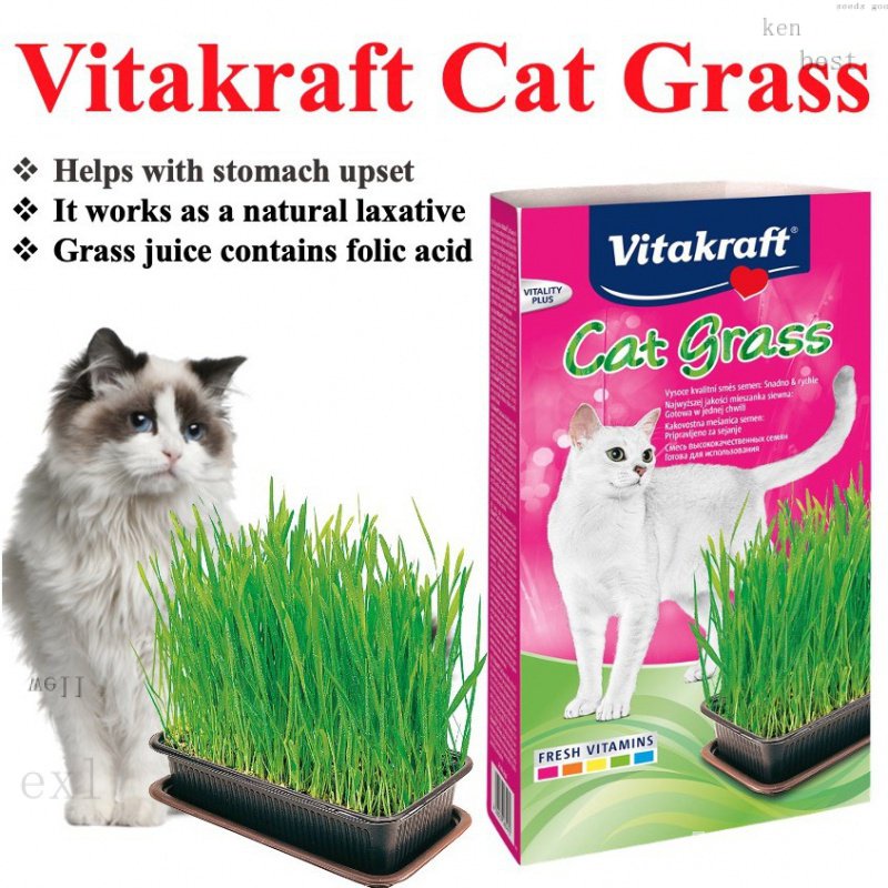 Vitakraft Cat Cat Snack Grow your Cats organic Grass/ Cat Seed/ Cat ...