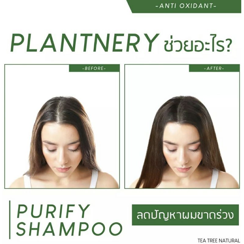 แชมพูสูตรช่วยลดความมัน และสิวตามไรผม Plantnery Tea Tree Purify Shampoo 300 ml | Shopee Thailand