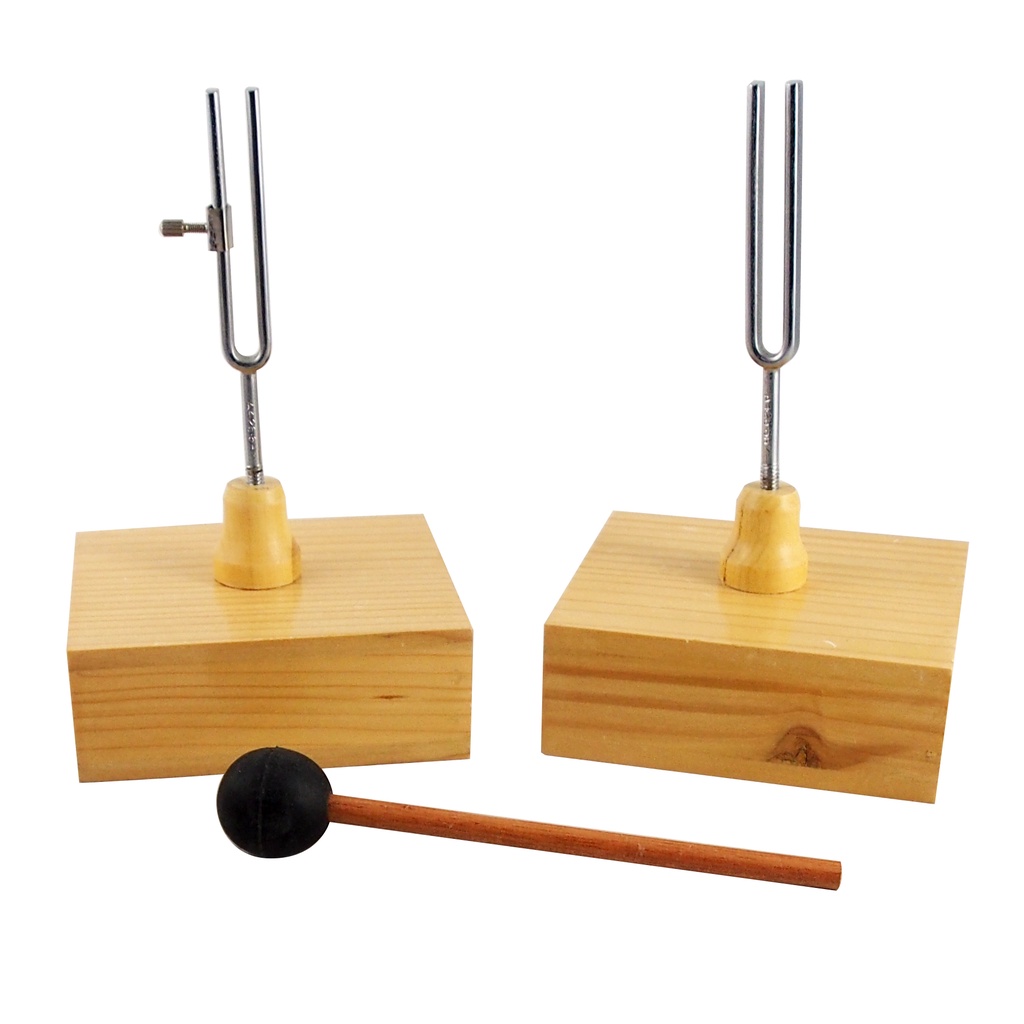 ชุดส้อมเสียง 2 ชุด พร้อมไม้เคาะ (Resonance Box with Tuning Fork 2 Sets ...