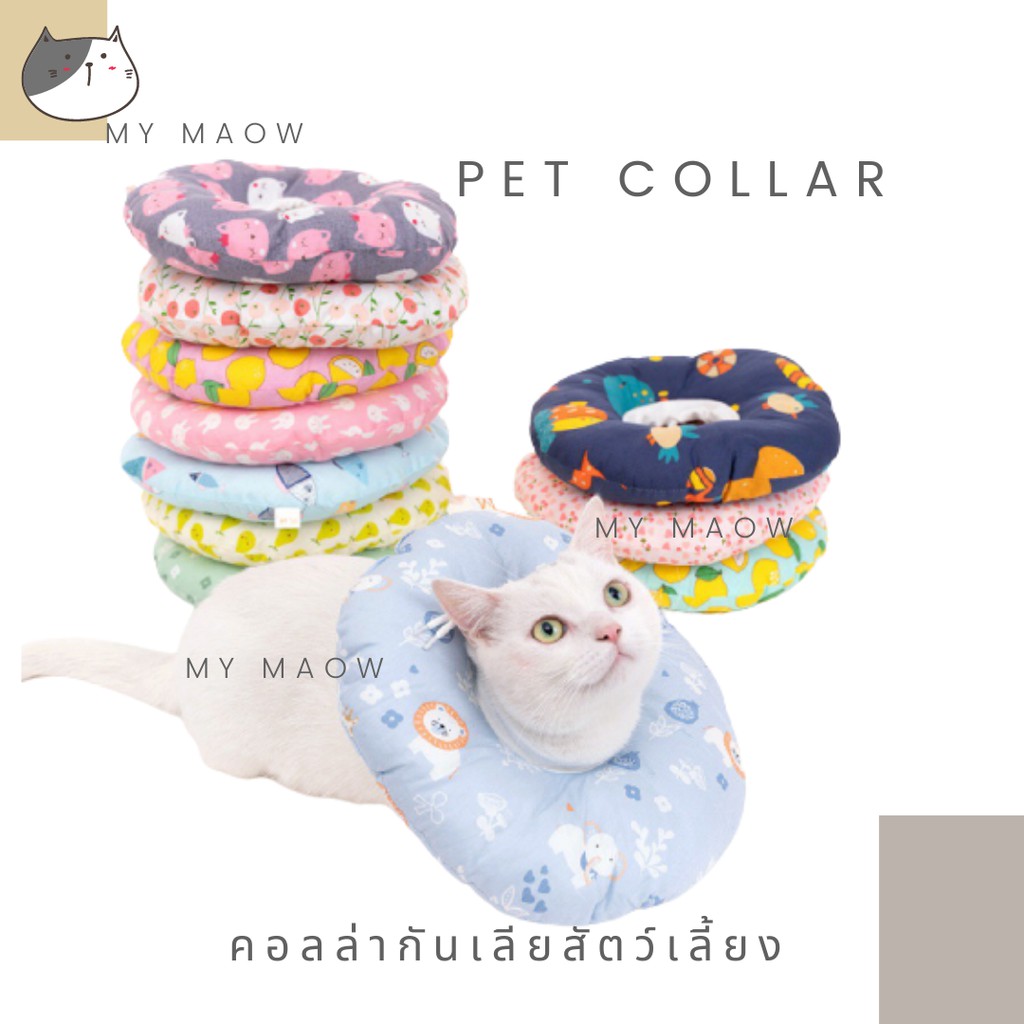 MM CAT // ปลอกคอกันเลีย คอลล่ากันเลียแผล ปลอกคอกันเลียแผล คอลล่า014 ...